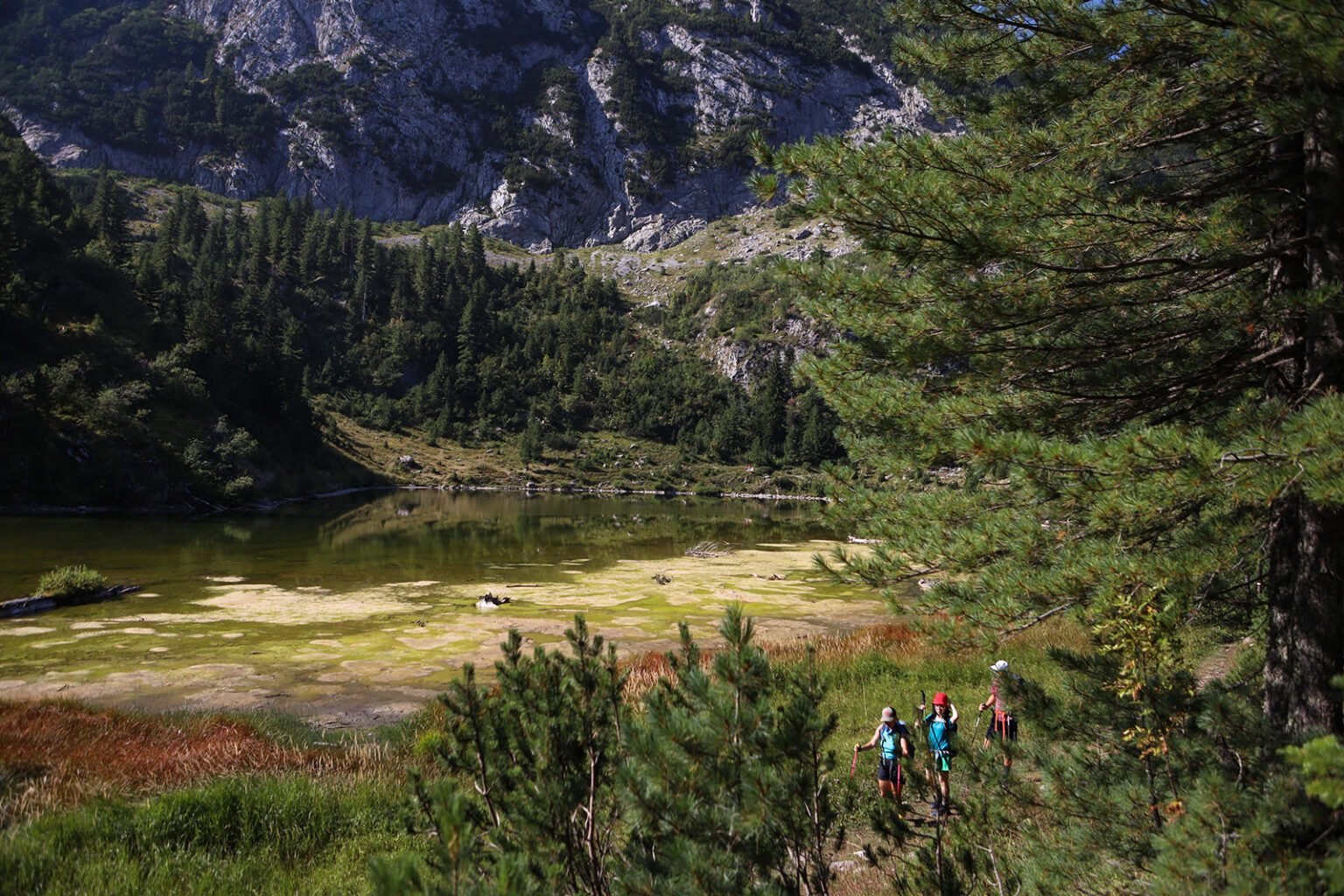 National Park - viadinaricakosovo.com